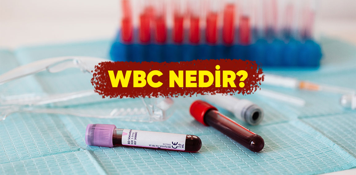 WBC Nedir? - Kütahya Ekspres
