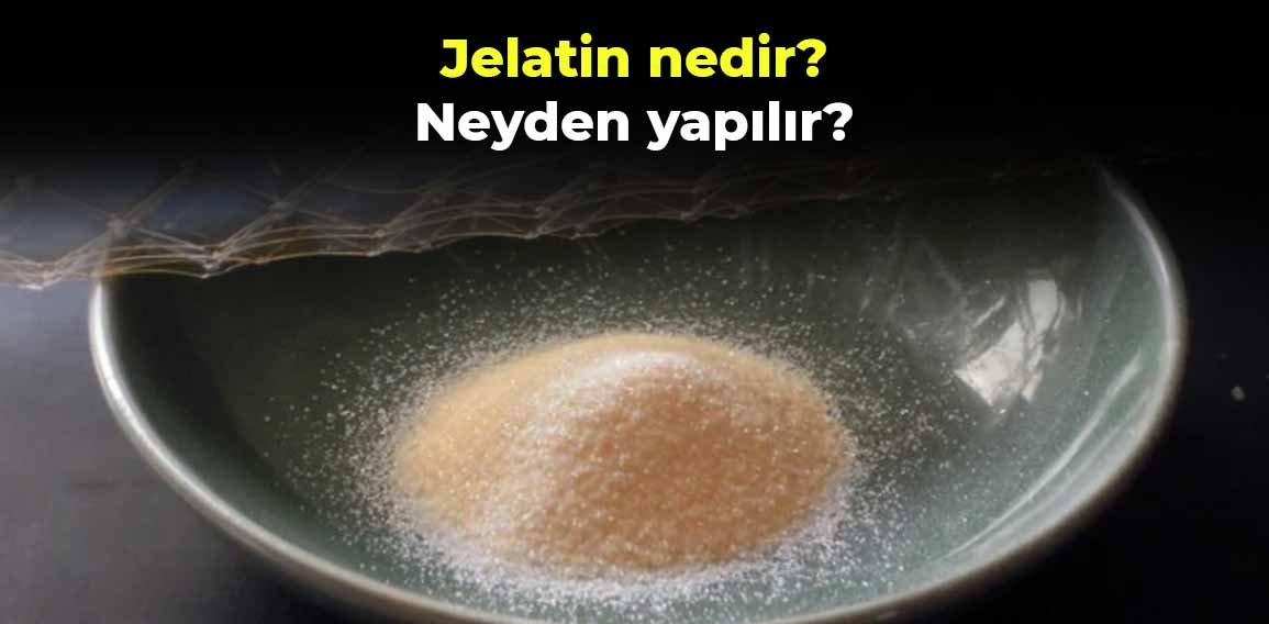 Jelatin nedir, neyden yapılır? Jelatin nasıl üretilir? - Kütahya Ekspres